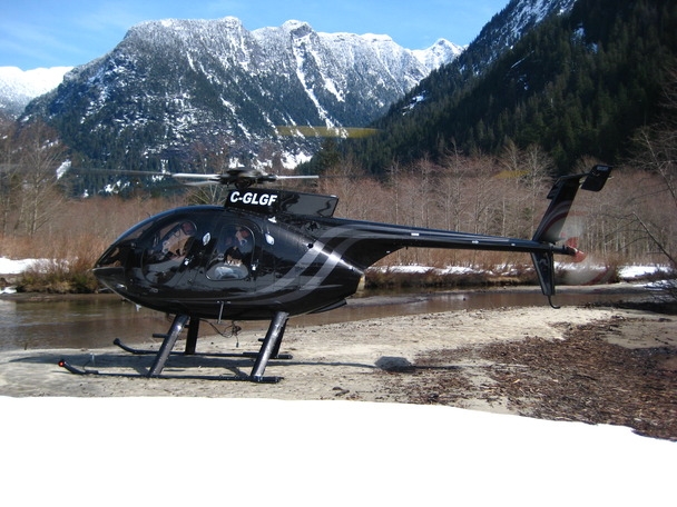 MD 530FF, 2009 for sale on TransGlobal Aviation