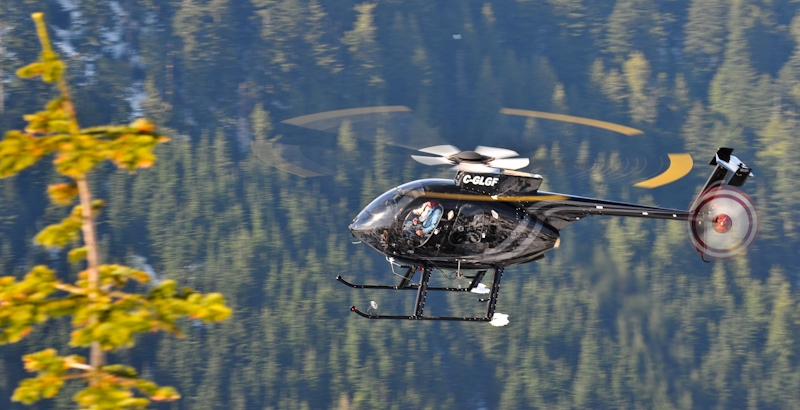 MD 530FF, 2009 for sale on TransGlobal Aviation