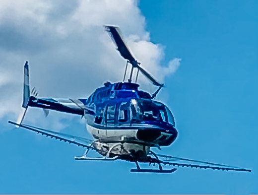 Bell 206B Jetranger, 1975 for sale on TransGlobal Aviation